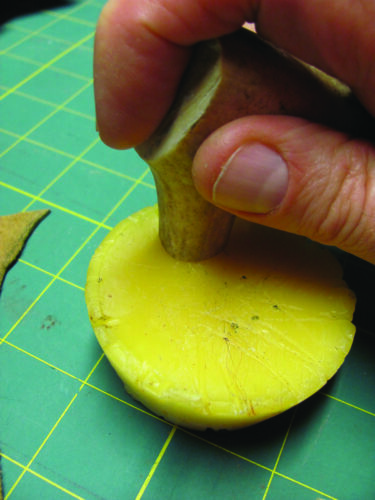 How To Cut Antlers For Buttons - Grit